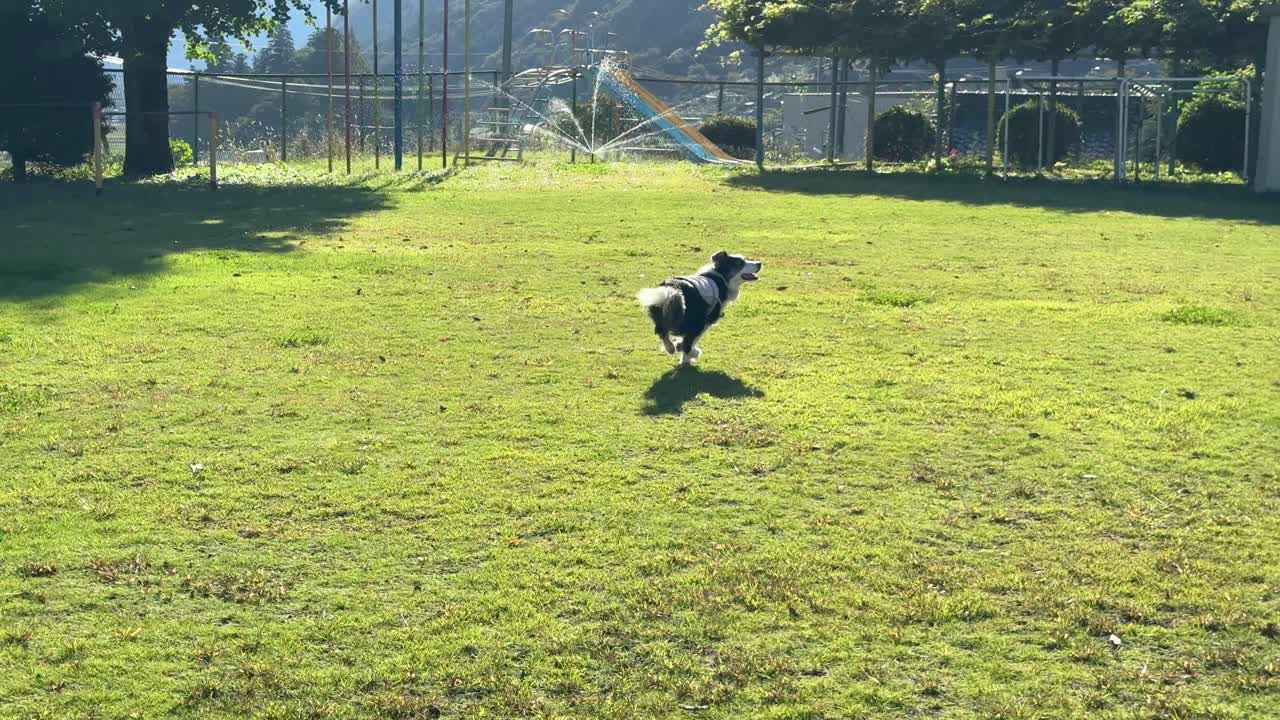 奥播磨RVパークin森のようちえん